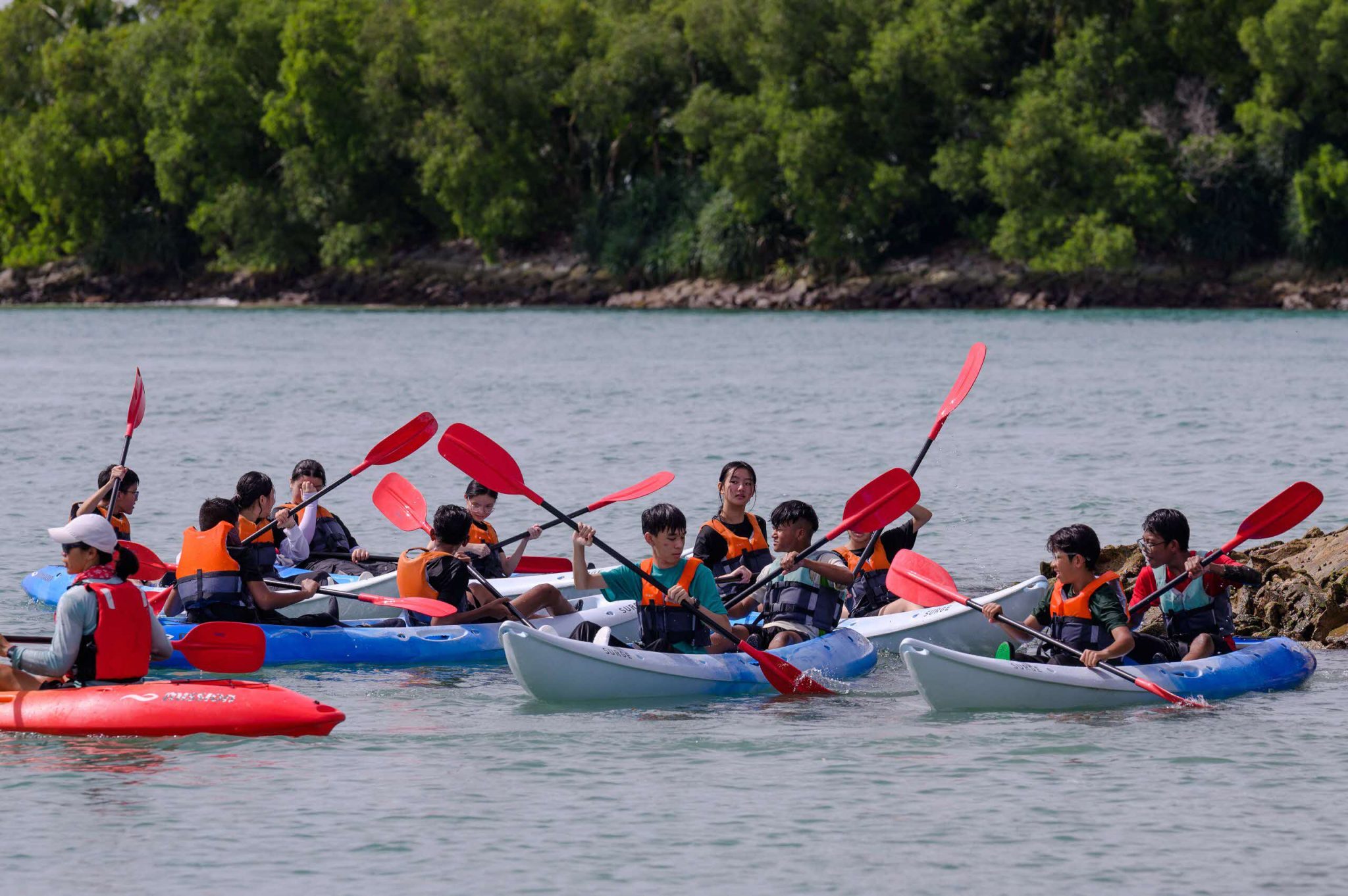 5 DSA questions you were too shy to ask – the answers may surprise you ...